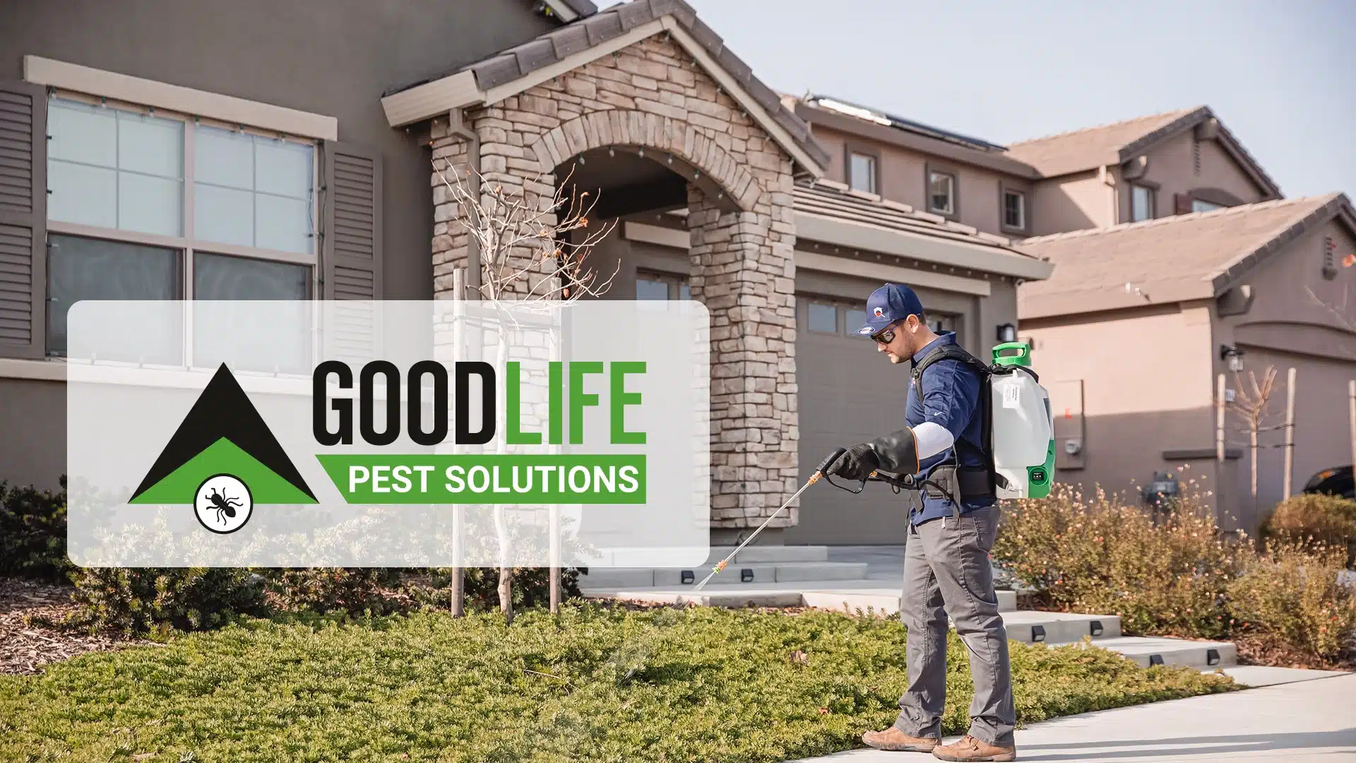Termite Inspection Sacramento | Good Life Pest Solutions